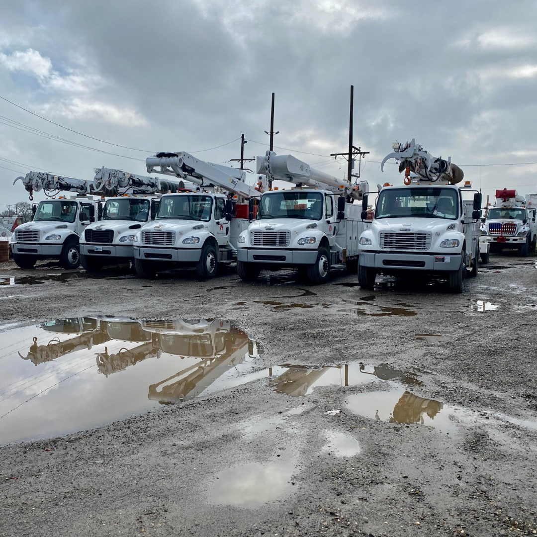 Maintain & Repair Existing Power Lines - TW Power Line